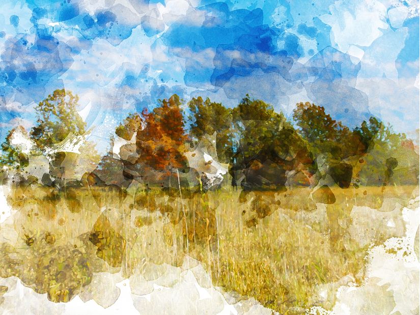 Landscape 13 Wall Mural - Murals Your Way