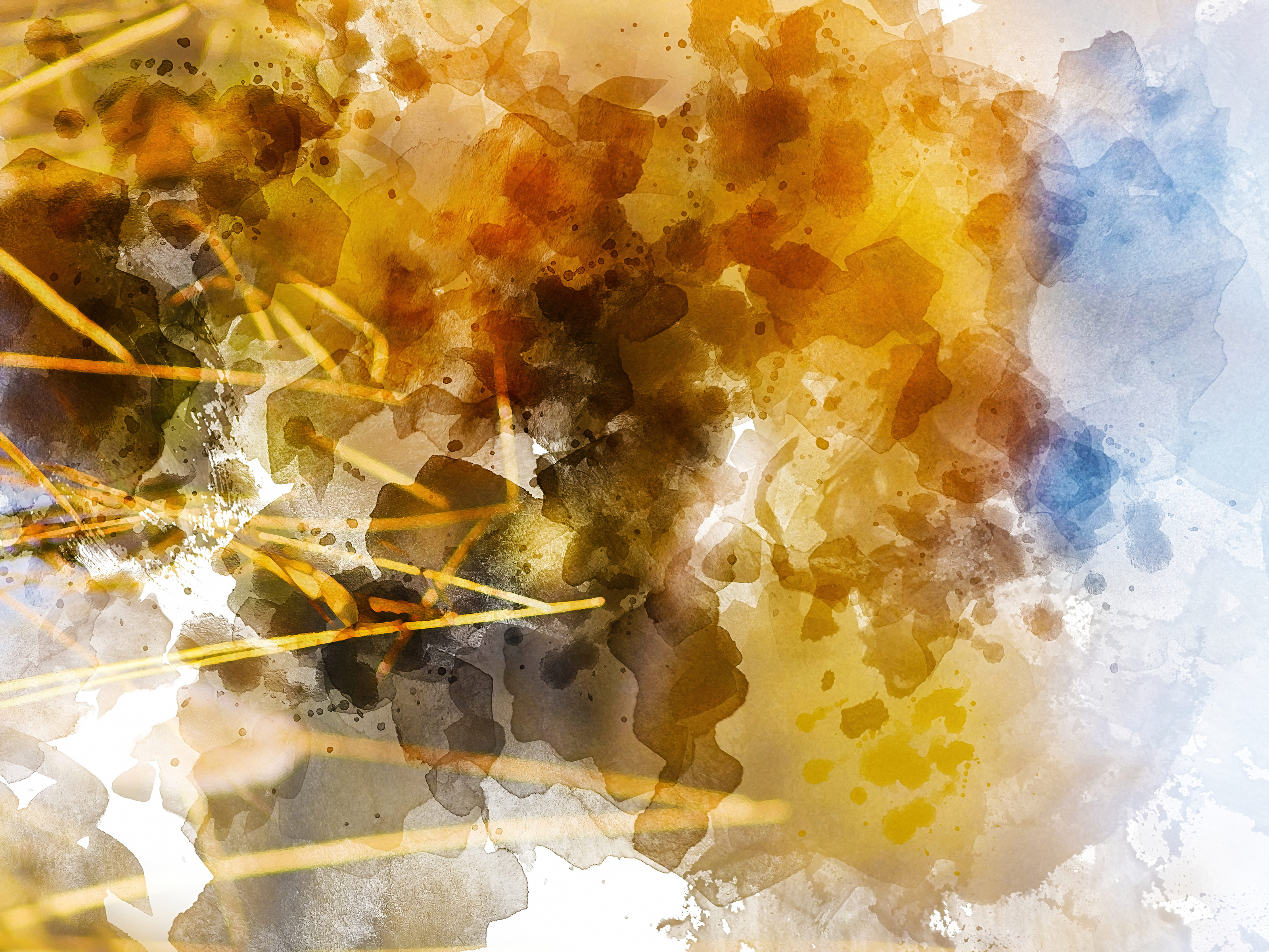 Abstract 0564 Wall Mural - Murals Your Way