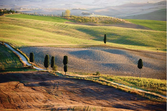 Tuscan Landscape Murals Tuscan Landscape Mural • Shadowy Italian