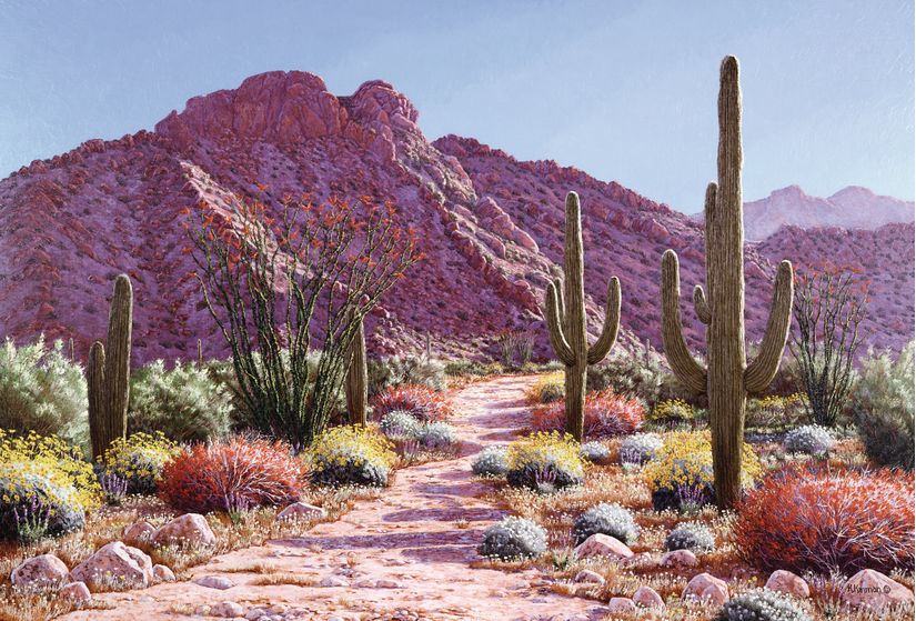 Desert In Bloom Wall Mural - Murals Your Way