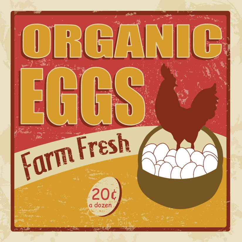 Organic Eggs Poster Wall Mural - Murals Your Way