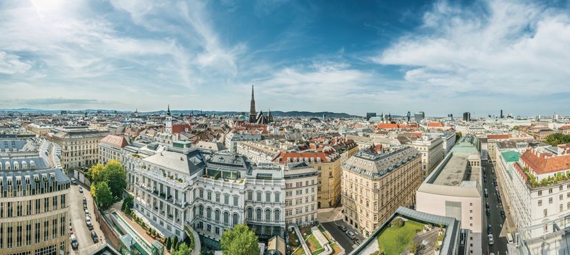 Vienna From The Rooftop Mural - Murals Your Way
