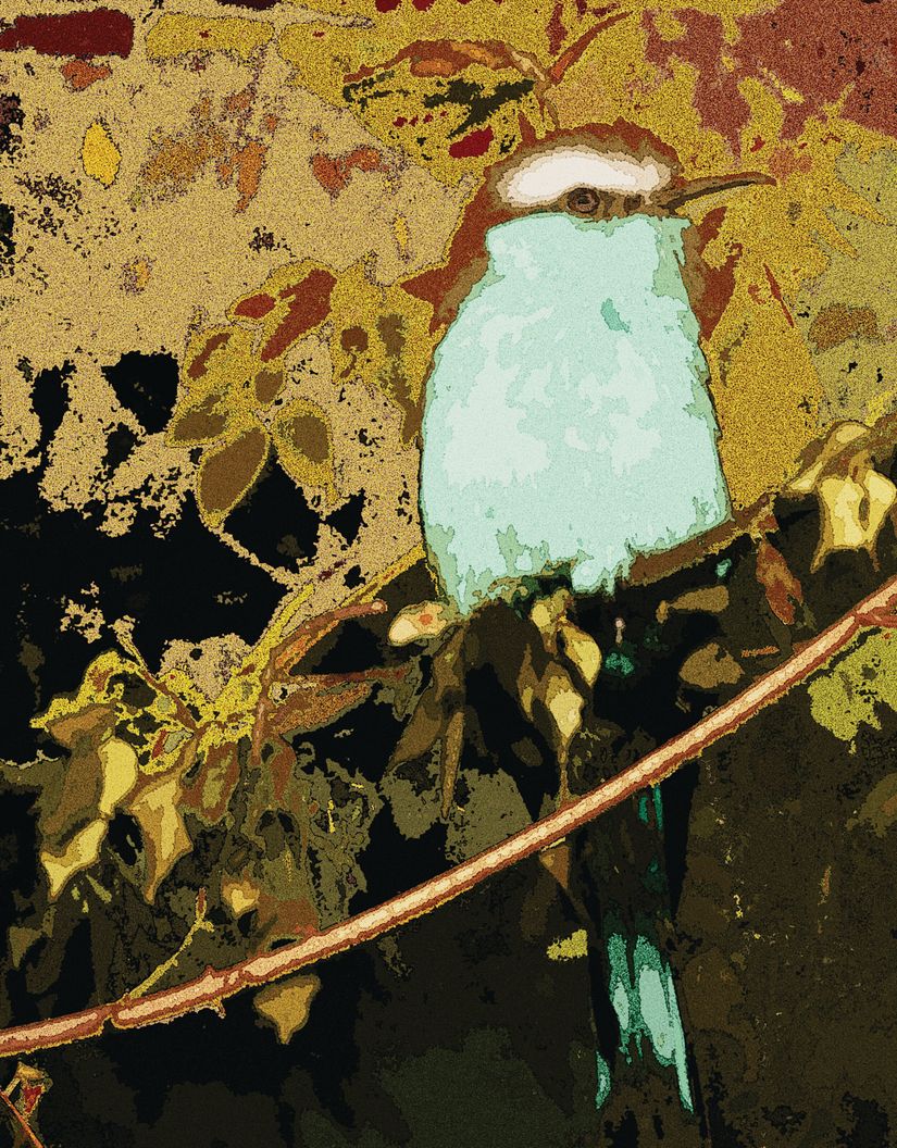 Blue Bird Mural By Alicia Bock - Murals Your Way