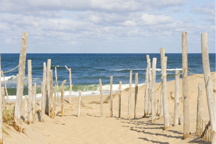 Sandy Beach And Ocean At Cape Cod Mural - Murals Your Way