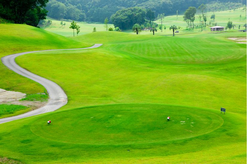 Golf Course Green Wall Mural - Murals Your Way