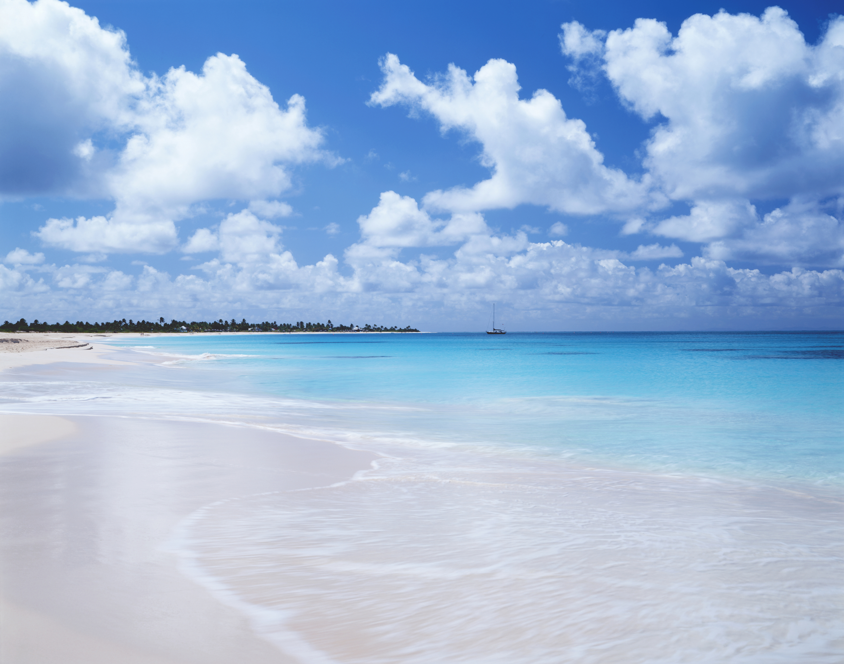 Coco Point Beach, Barbuda III Mural Wallpaper - Murals Your Way