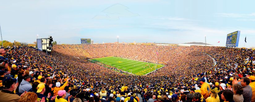 Michigan Vs. Iowa Mural by Craig B. Mitchell - Murals Your Way