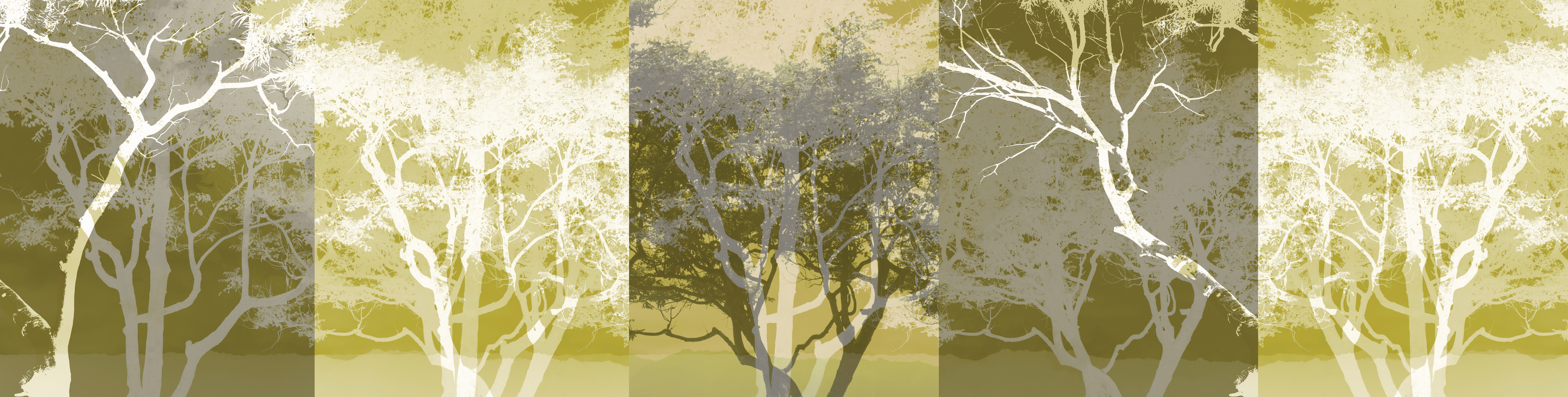 Views Of Trees Mural - Matthew Lew - Murals Your Way