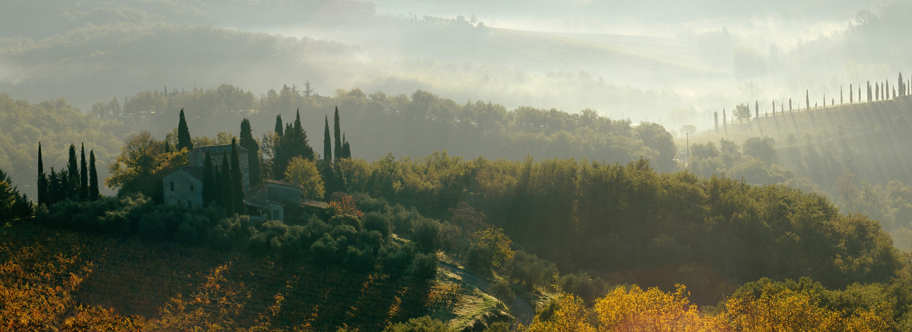 A Morning's Gift Mural - John Scanlan - Murals Your Way