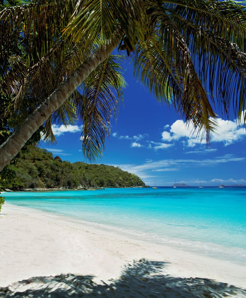 An Ideal Spot, St. John Wall Mural By John Scanlan - Murals Your Way