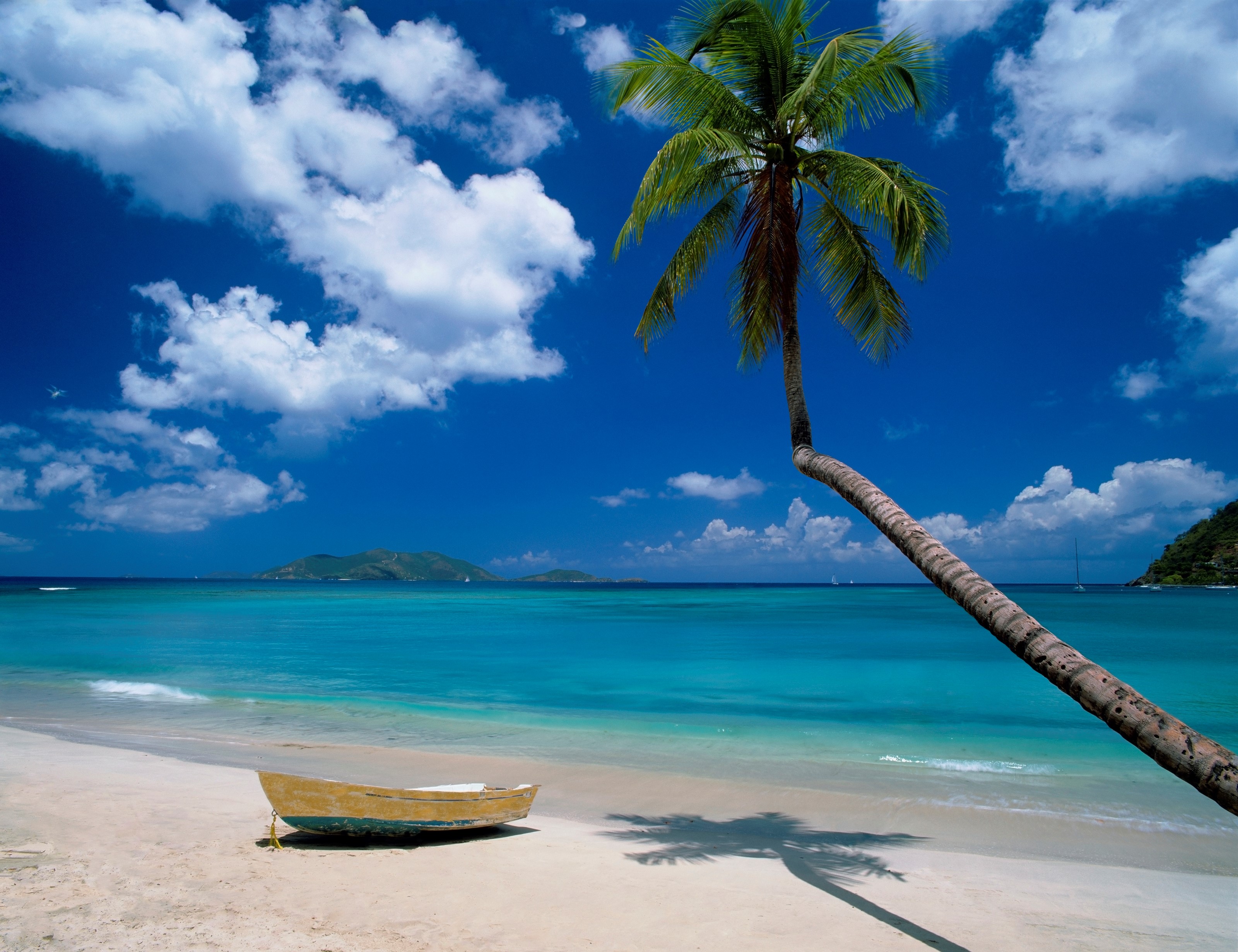 Castaway, BVI Mural - John Scanlan - Murals Your Way