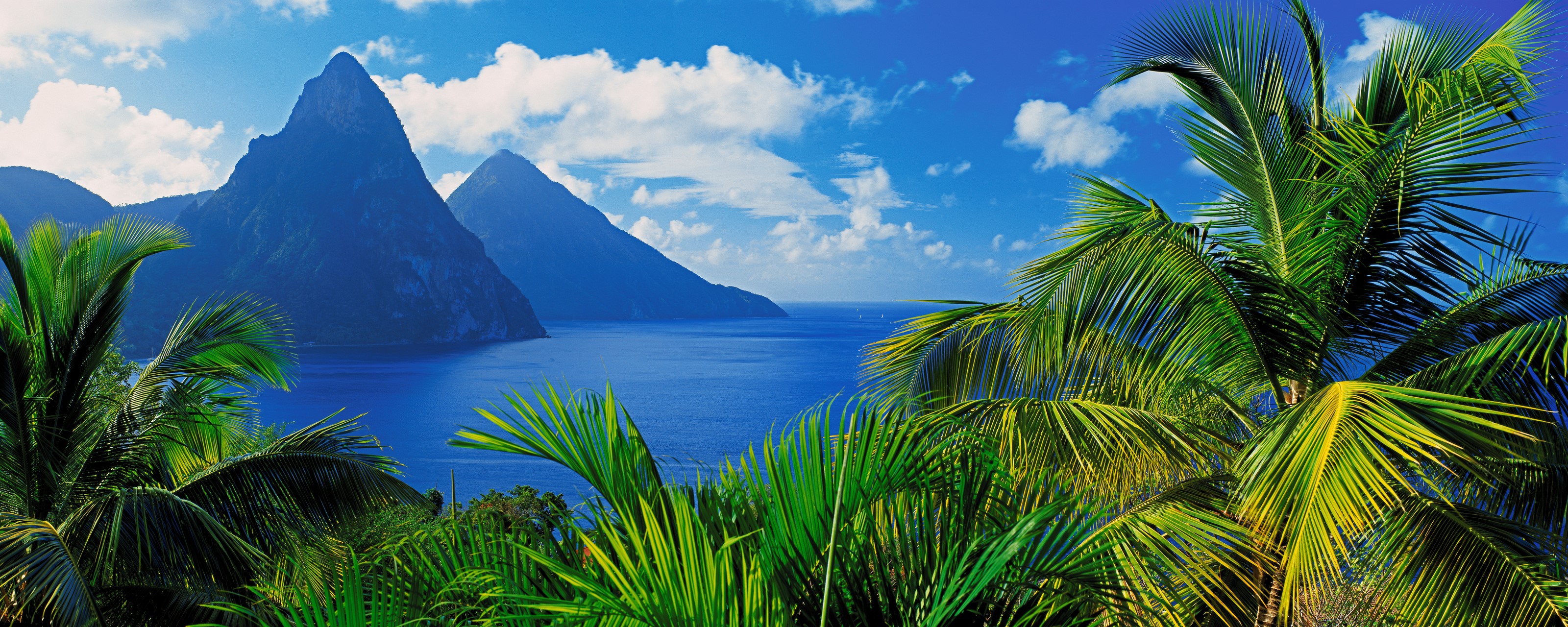 Paradise Found (John Scanlan) Mural - John Scanlan - Murals Your Way