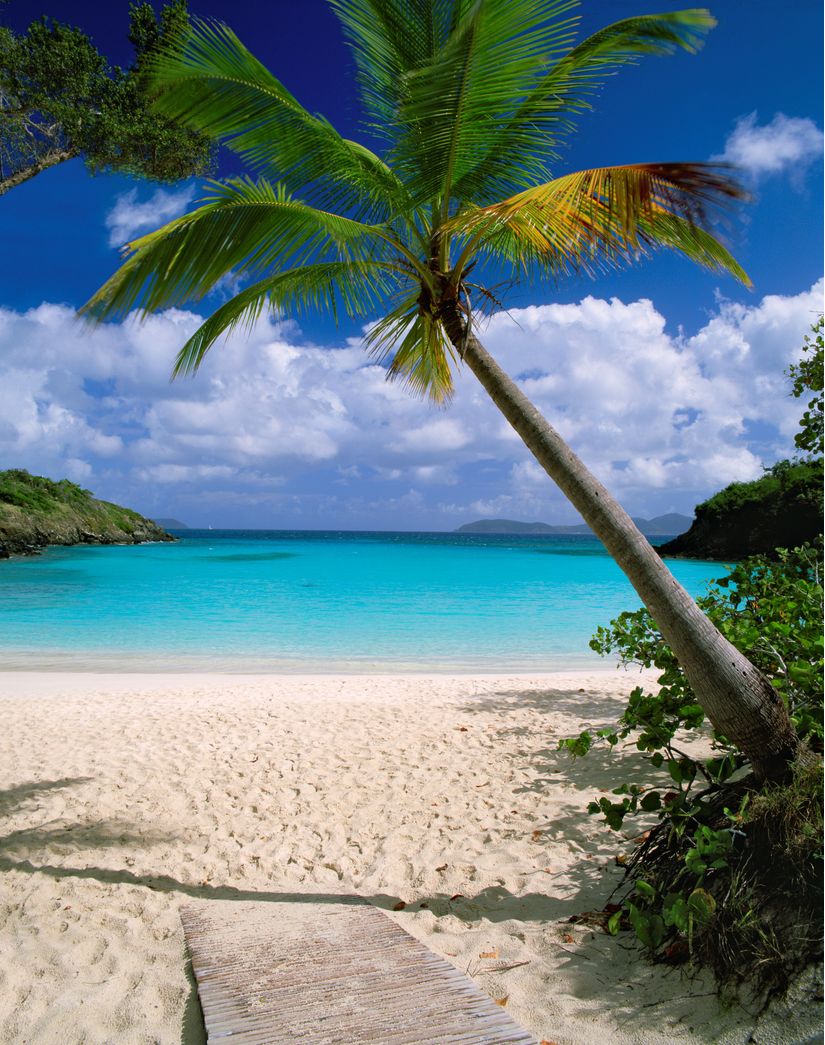 Serenity, St. John Wall Mural - John Scanlan - Murals Your Way