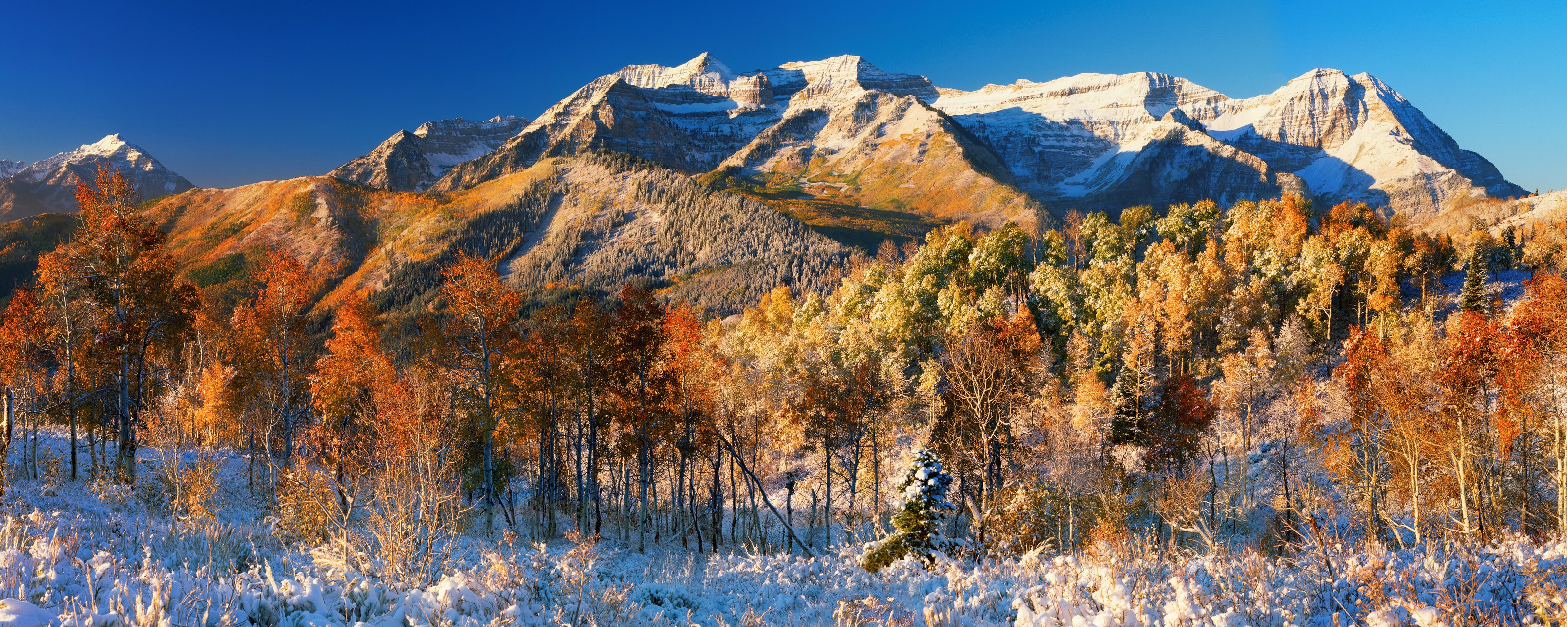 The Master's Palette Mural - John Scanlan - Murals Your Way