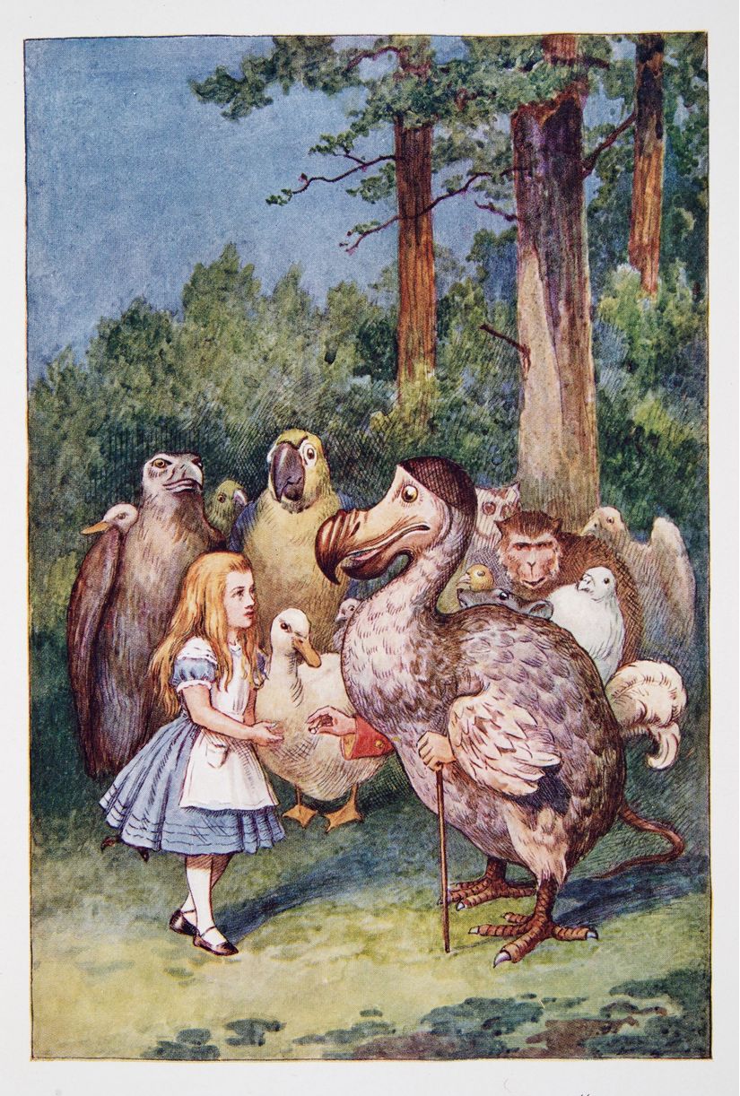Dodo Alice In Wonderland