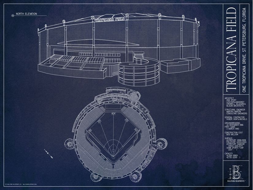 Tropicana Field Blueprint Wall Mural - Murals Your Way