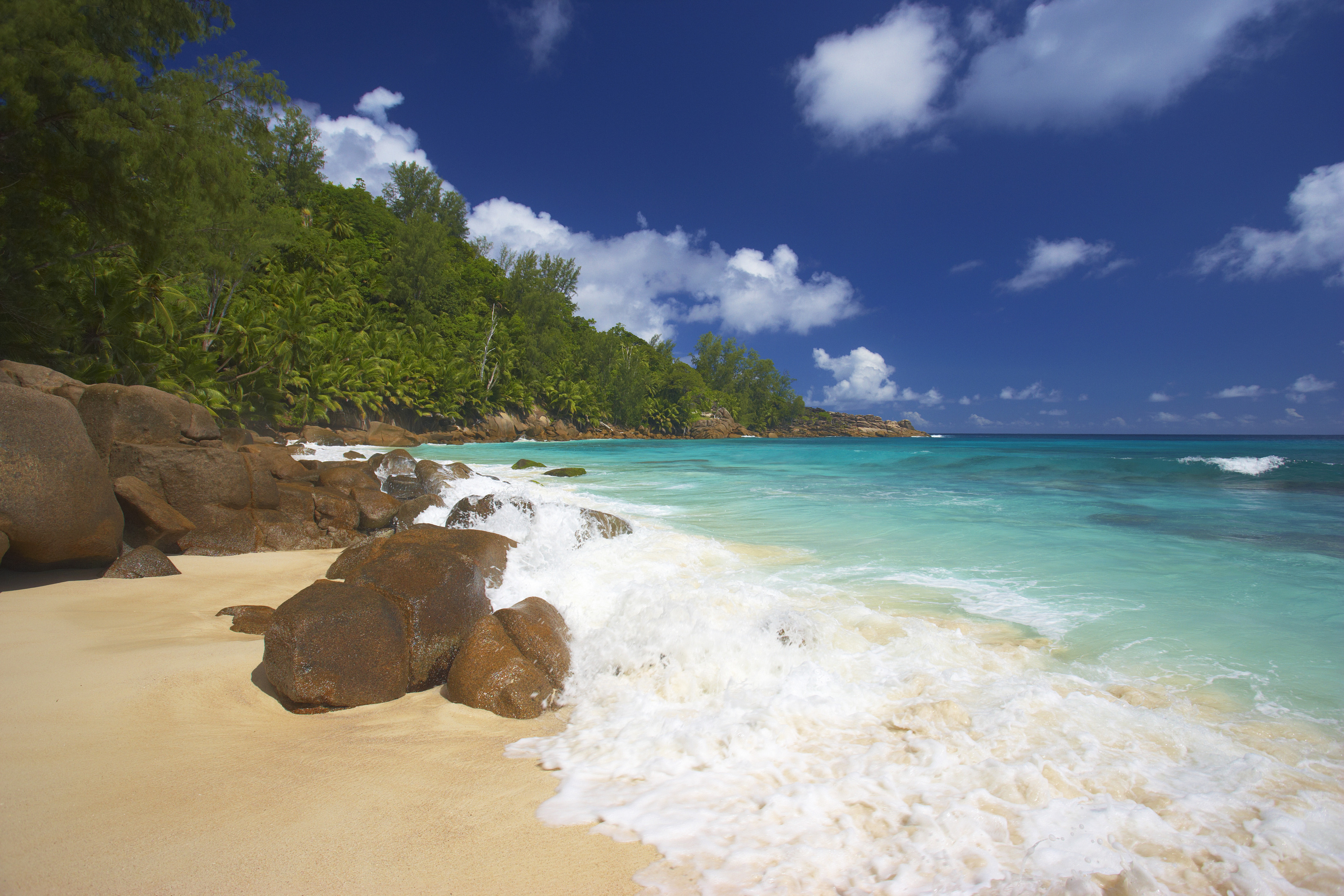 Anse Intendance, Seychelles Mural - Amri Designs - Murals Your Way