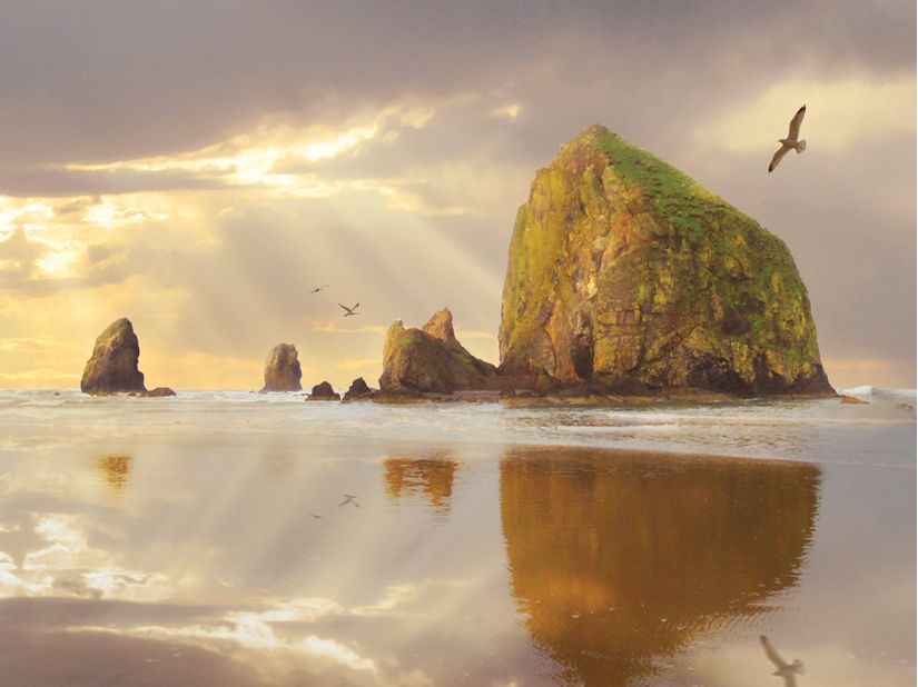 Rays Of Reflection Wall Mural - Murals Your Way