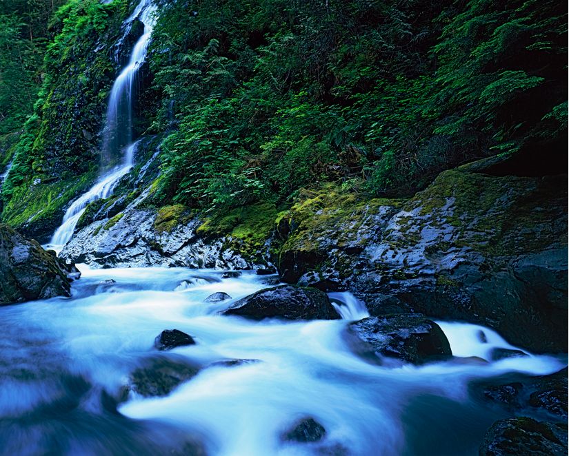 Boulder River Wilderness Mural - Murals Your Way