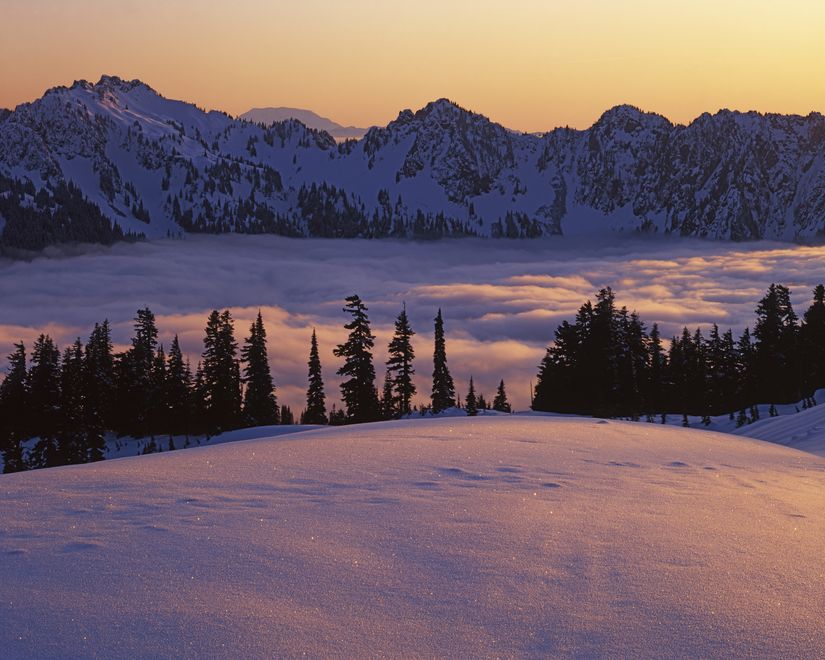 Tatoosh Range Mural - Murals Your Way