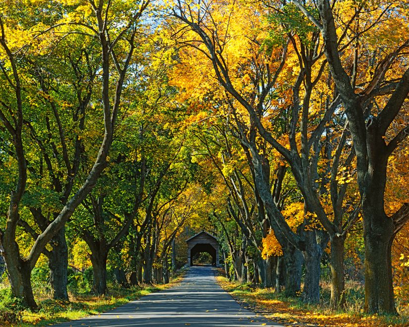 Meems Bottom Covered Bridge Mural - Murals Your Way