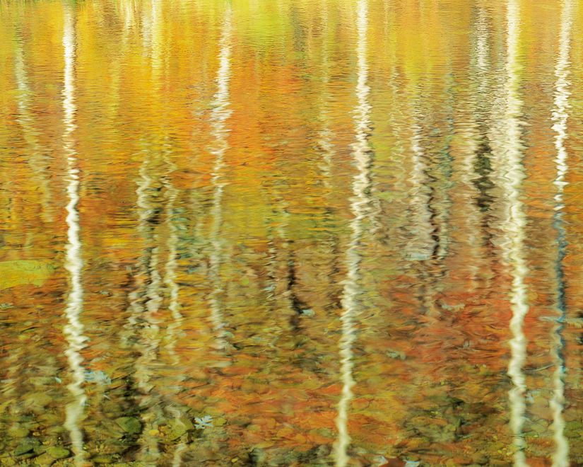 Stream Reflections, Virginia Mural - Charles Gurche - Murals Your Way