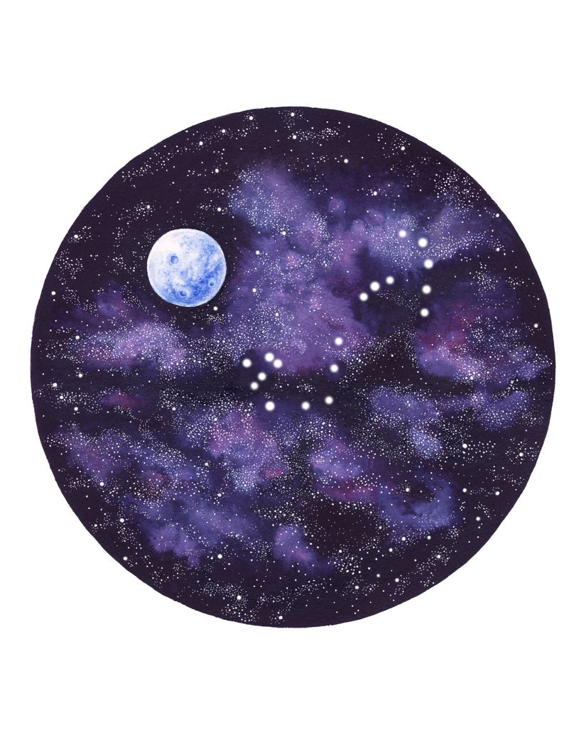 Scorpio Wall Mural - Murals Your Way