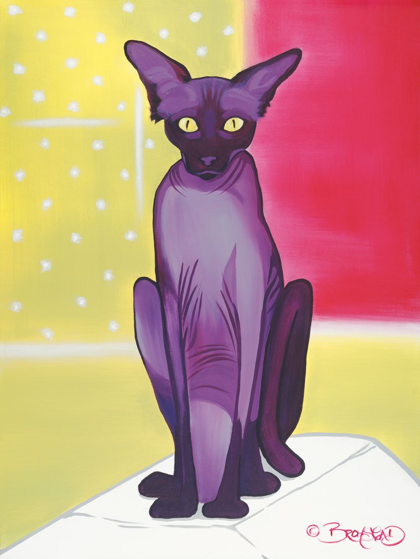 Fluffy Mural - David Bromstad - Murals Your Way