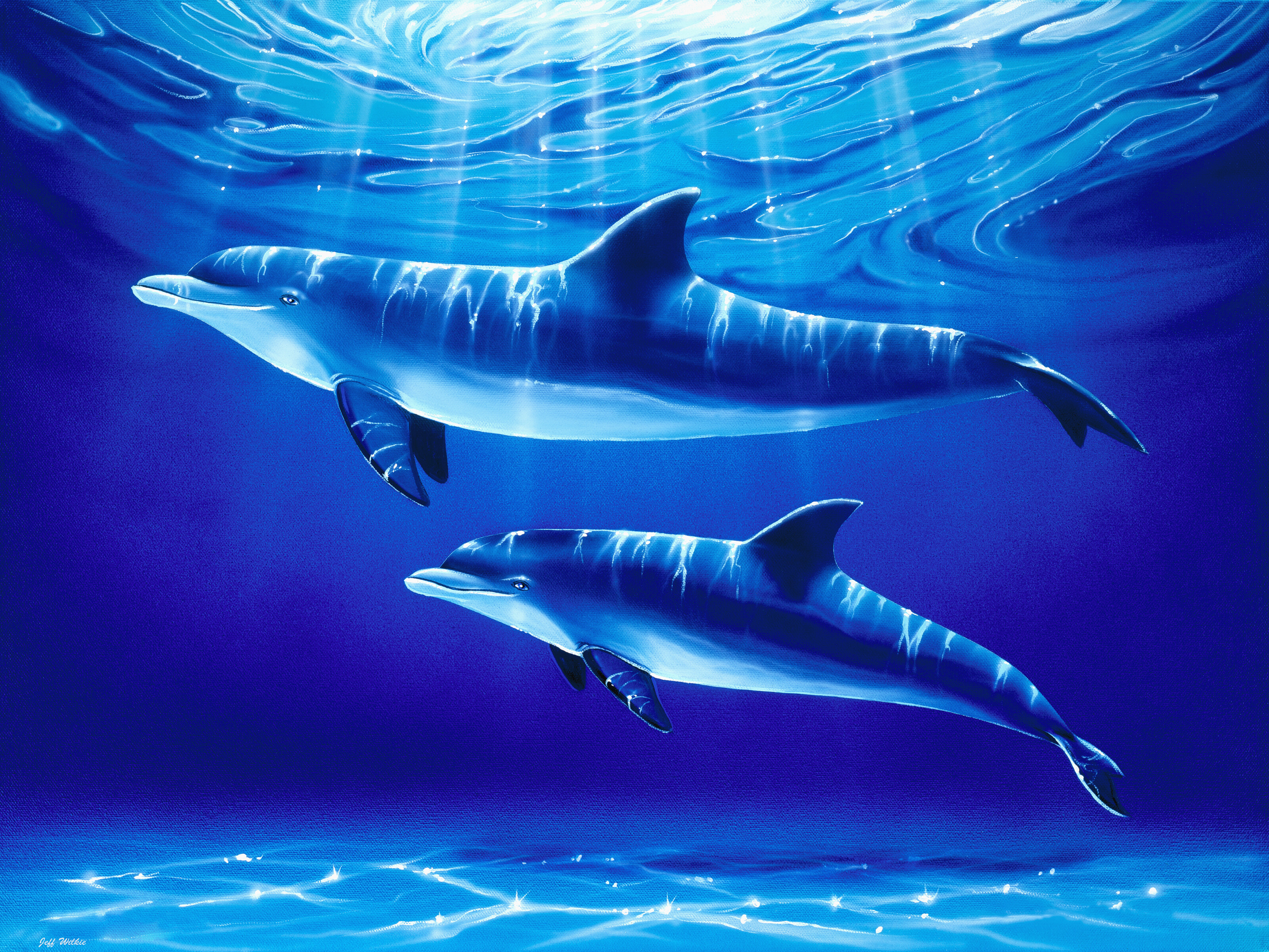 Ocean Spotlight Mural - Jeff Wilkie - Murals Your Way