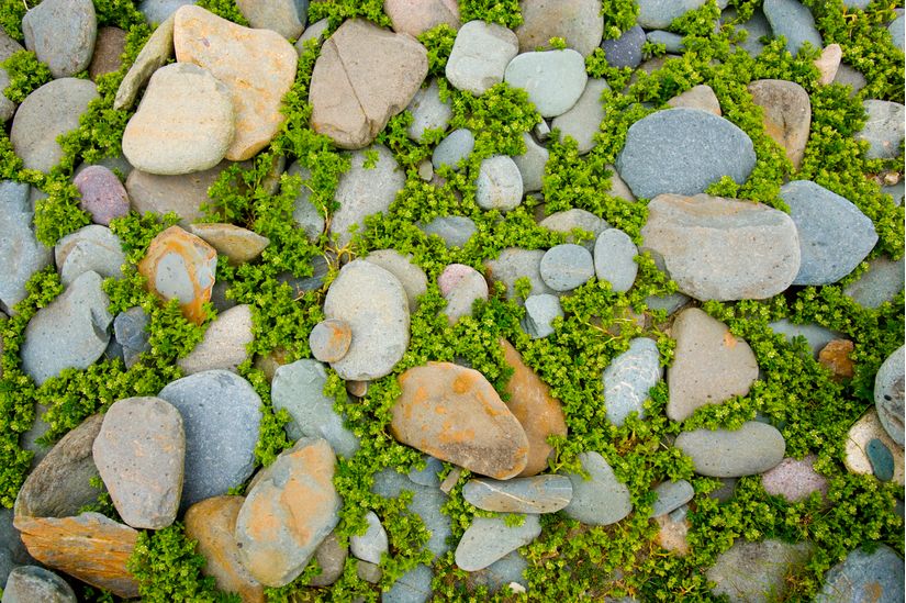 Rock Design, County Mayo, Western Ireland - Murals Your Way