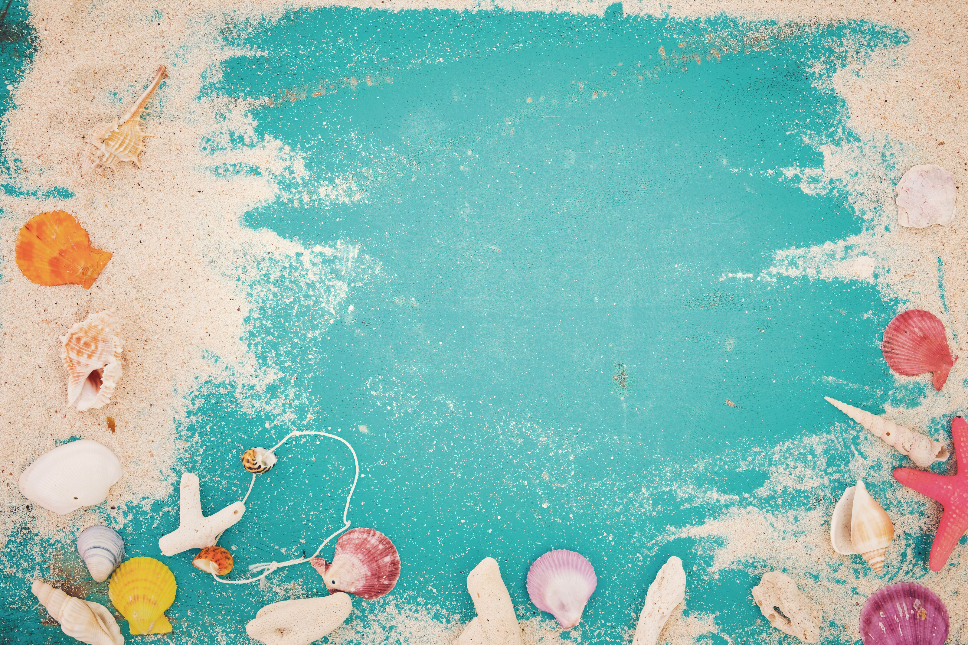 Sorting Seashells Wall Mural - Murals Your Way