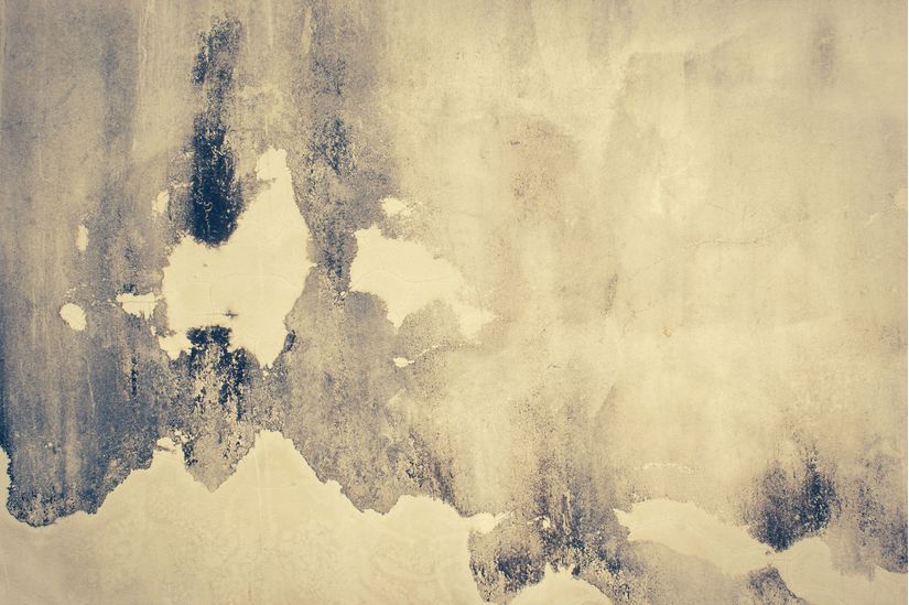 Soft Grunge Texture Wall Mural - Murals Your Way