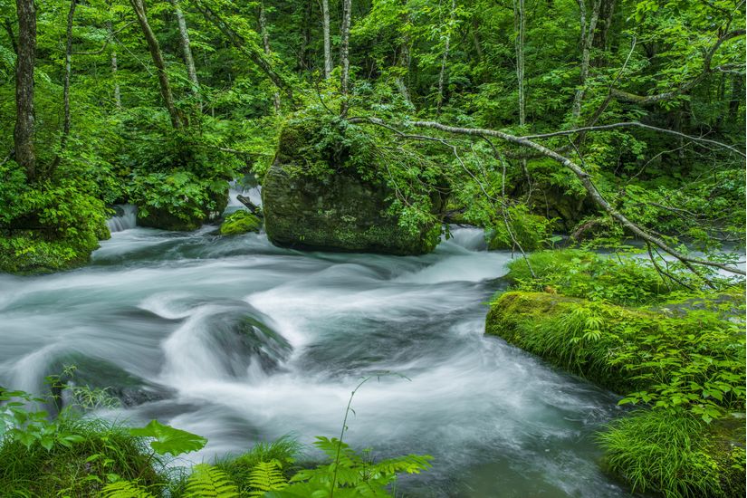 Imagine Wallpaper Nature