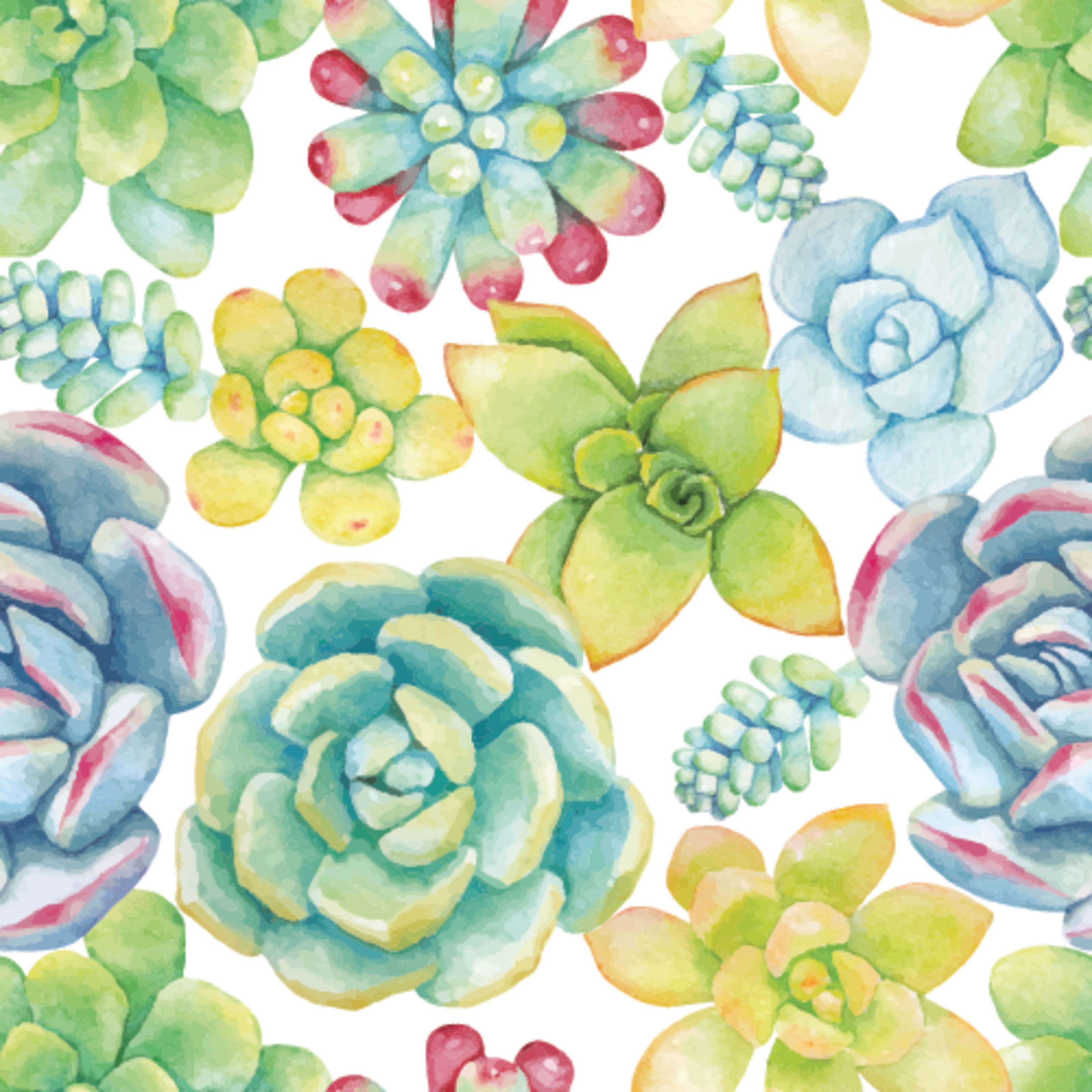 Succulents Painted In Watercolor Pattern Wallpaper - Murals Your Way