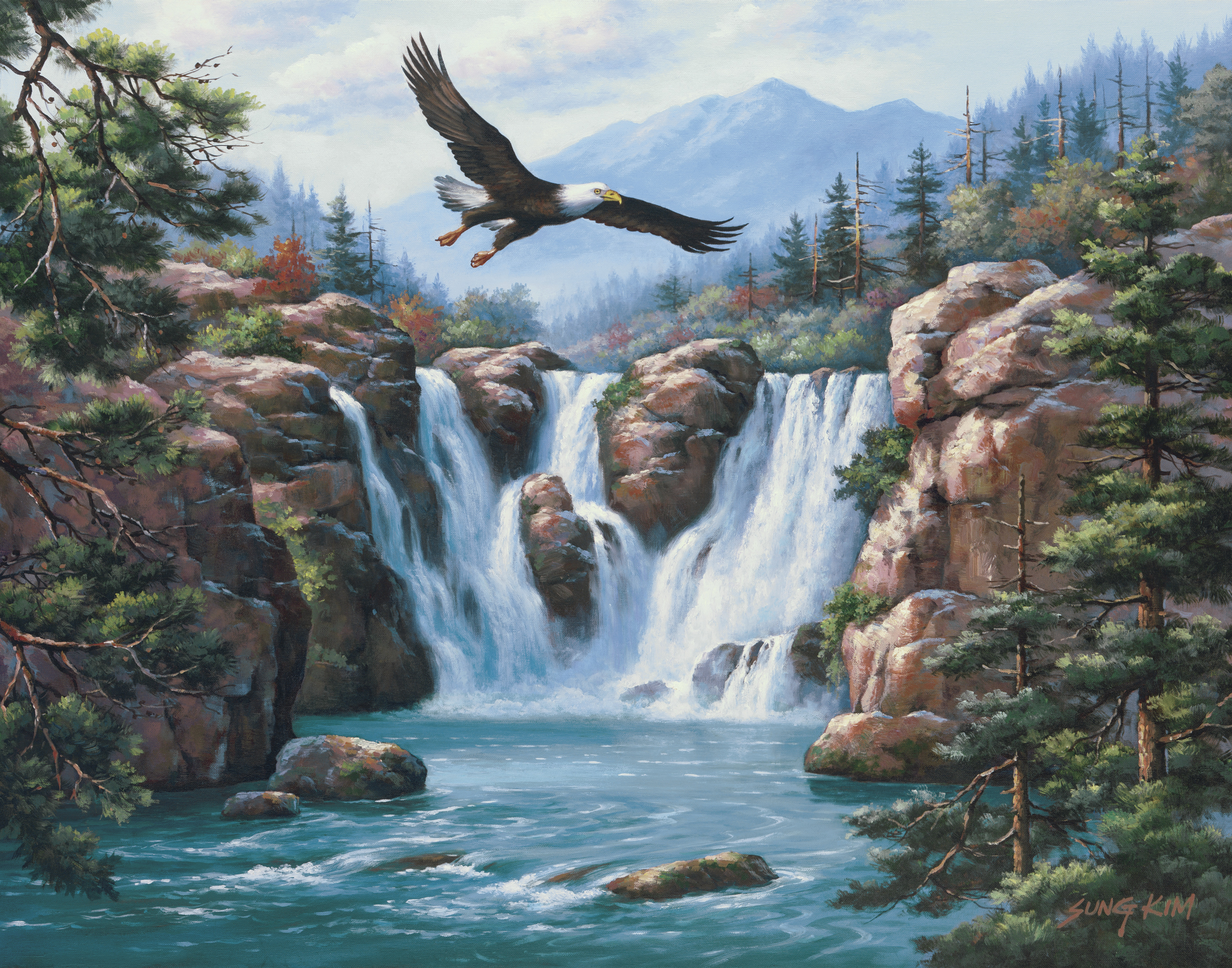 Soaring Eagle Wall Mural - Murals Your Way