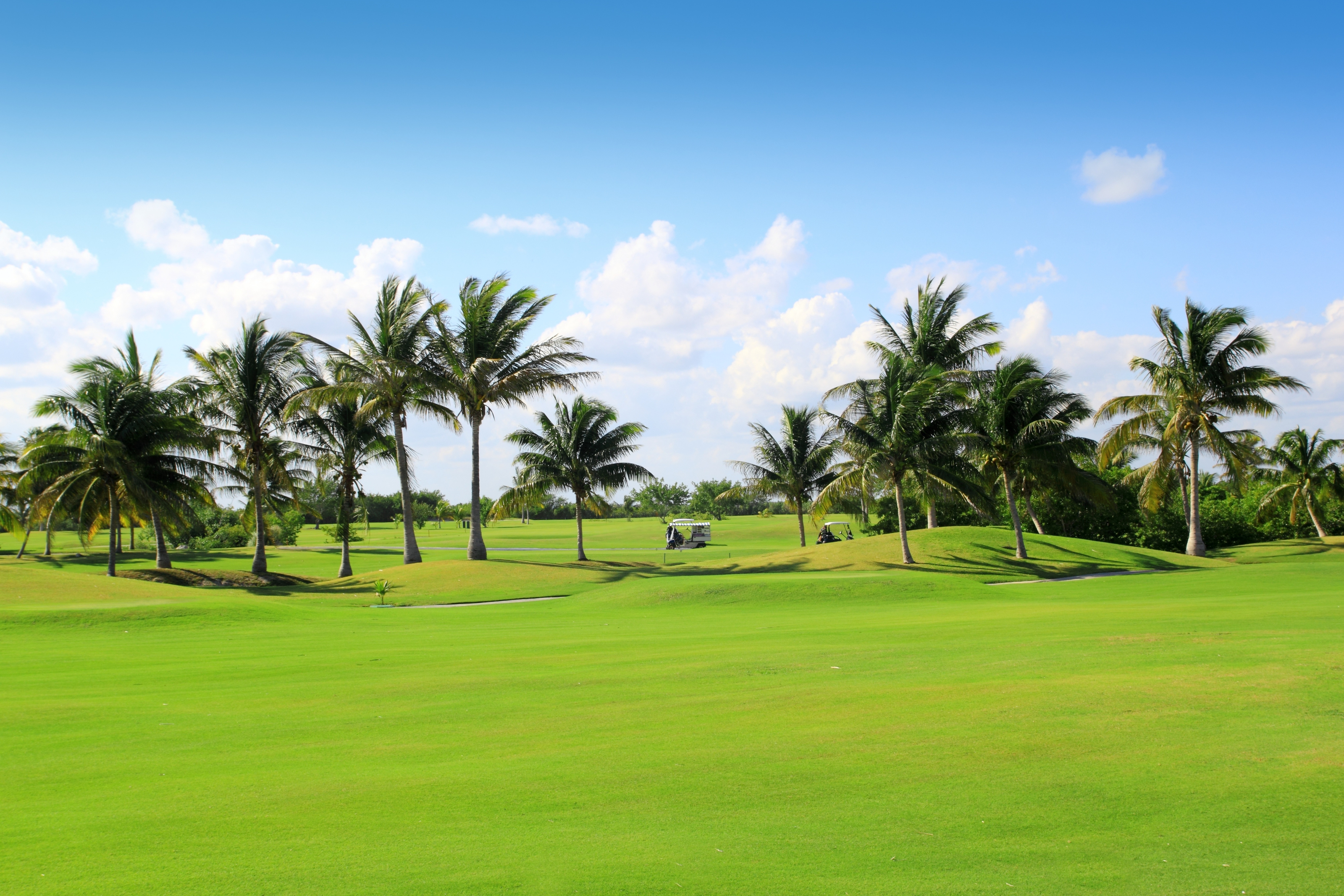 Mexico Golf Course Mural - Murals Your Way
