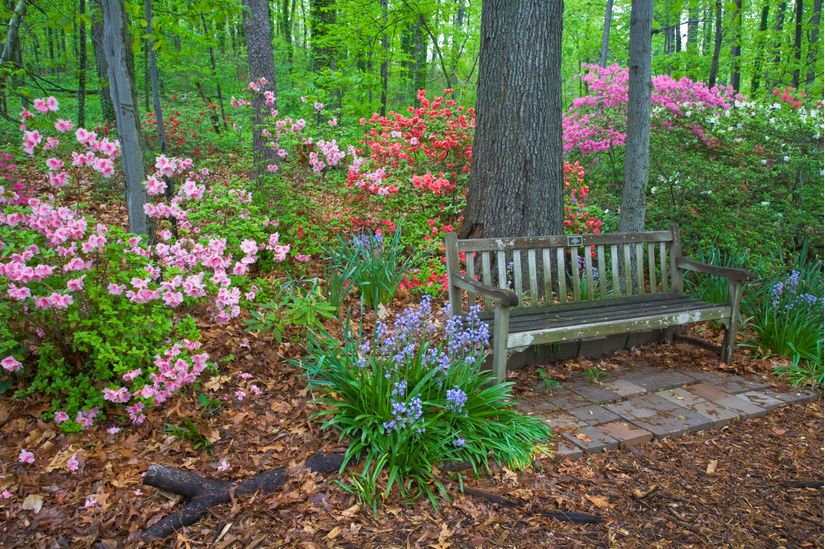 Garden Scene Mural | Lee Garden Bench, Terry Donnelly - Murals Your Way