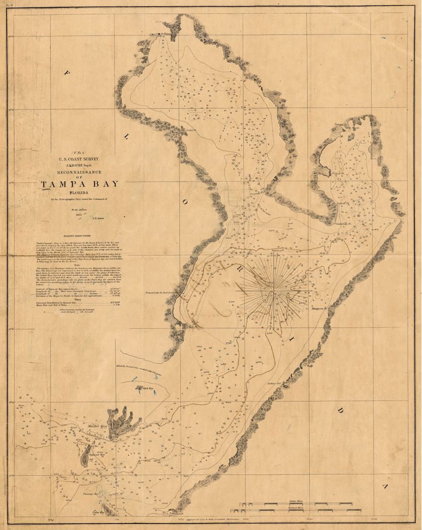 Tampa Bay, FL 1855 Map Wall Mural - Murals Your Way