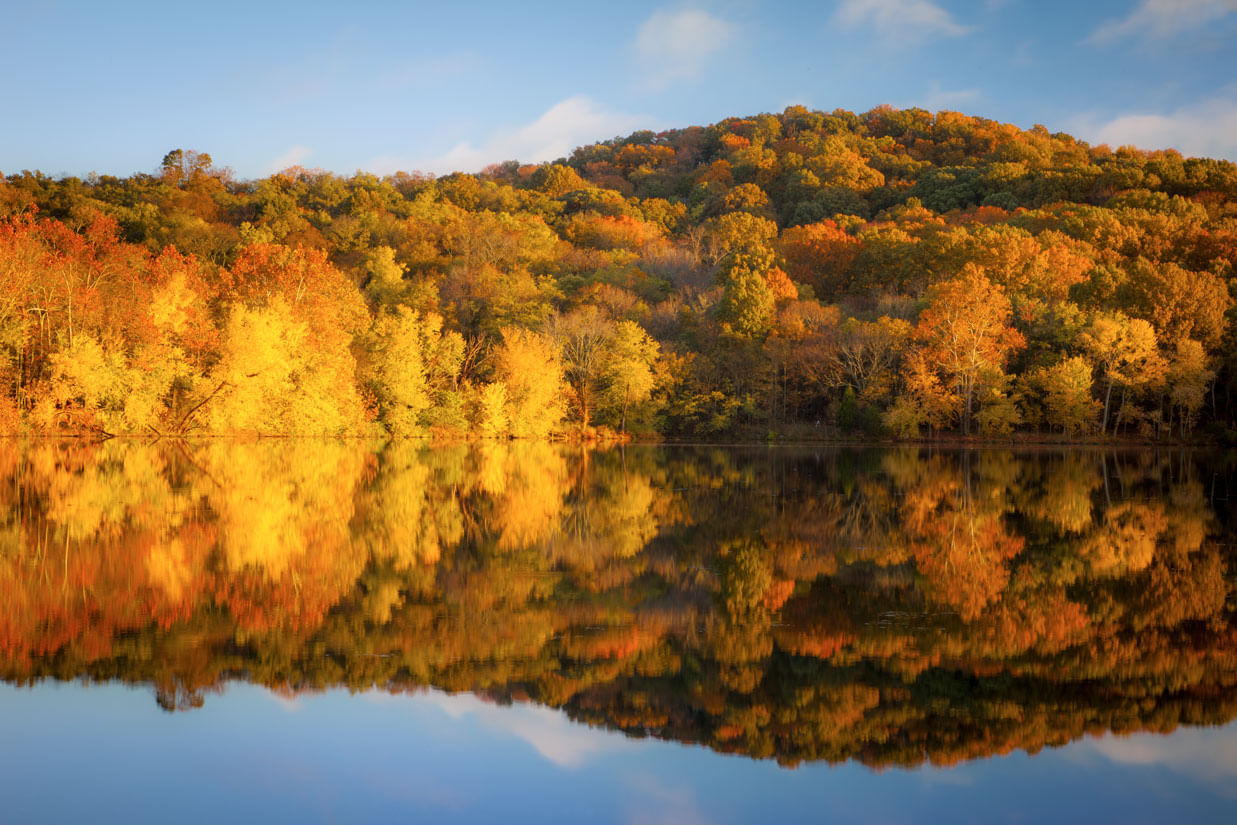 Autumn Color Reflection Mural By Brian Jannsen - Murals Your Way