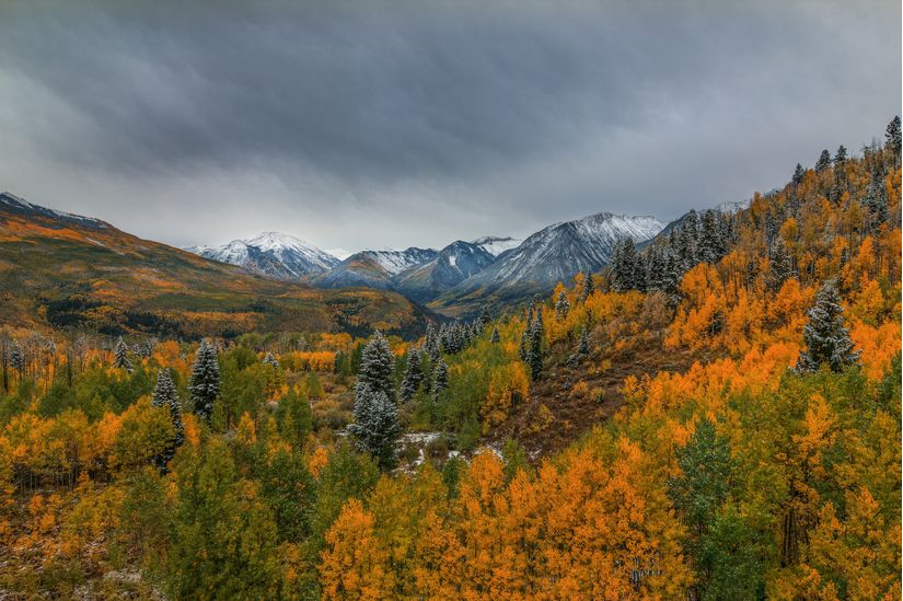 Autumn Wonderland Wall Mural By Bill Sherrell - Murals Your Way