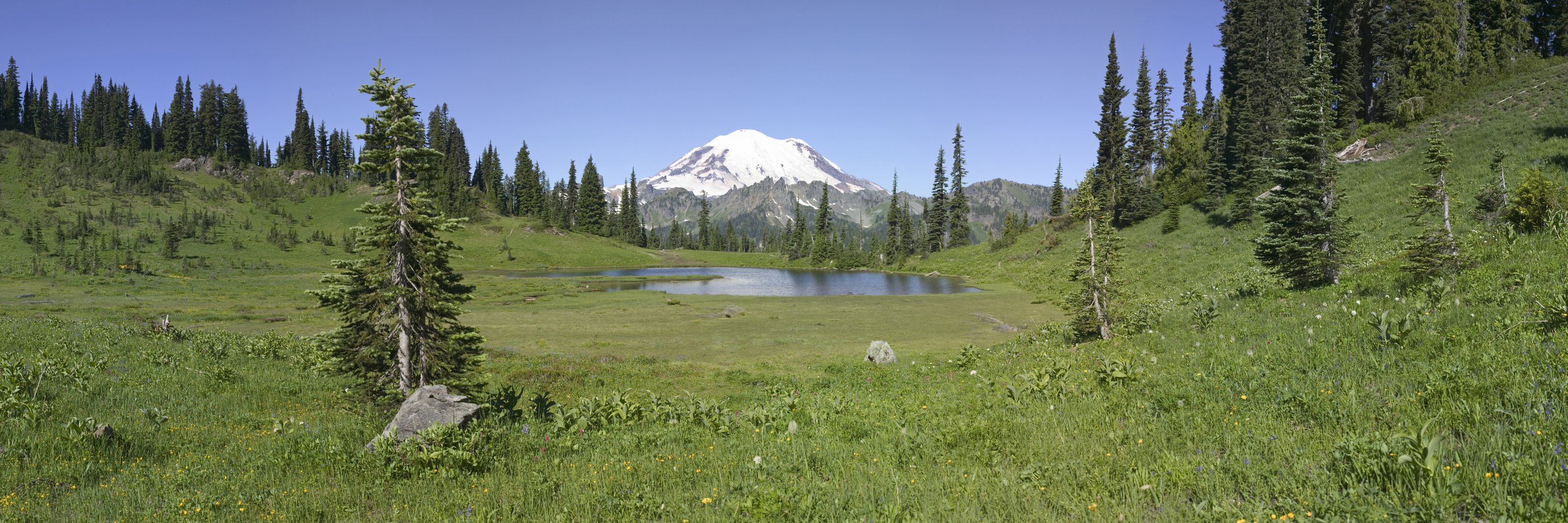 Washington State Wonder Mural - Murals Your Way