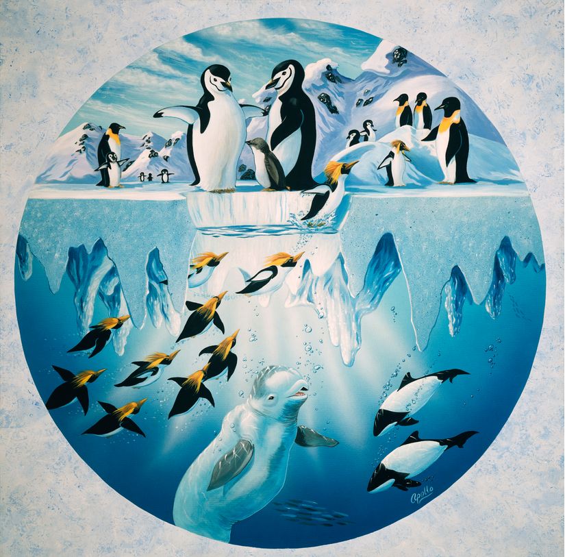 Penguins Playground Mural - Apollo - Murals Your Way