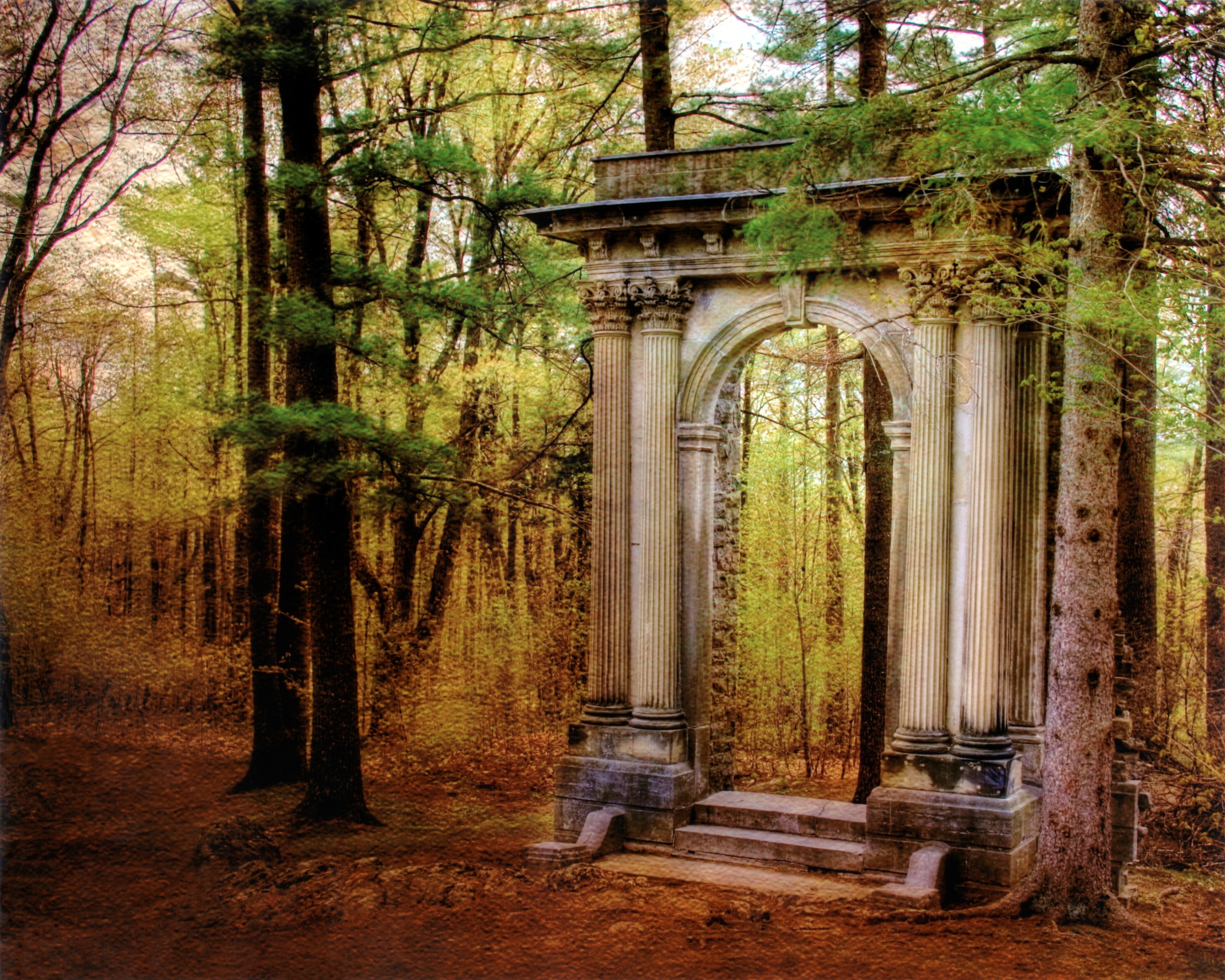 Enter Mural Wallpaper - Murals Your Way