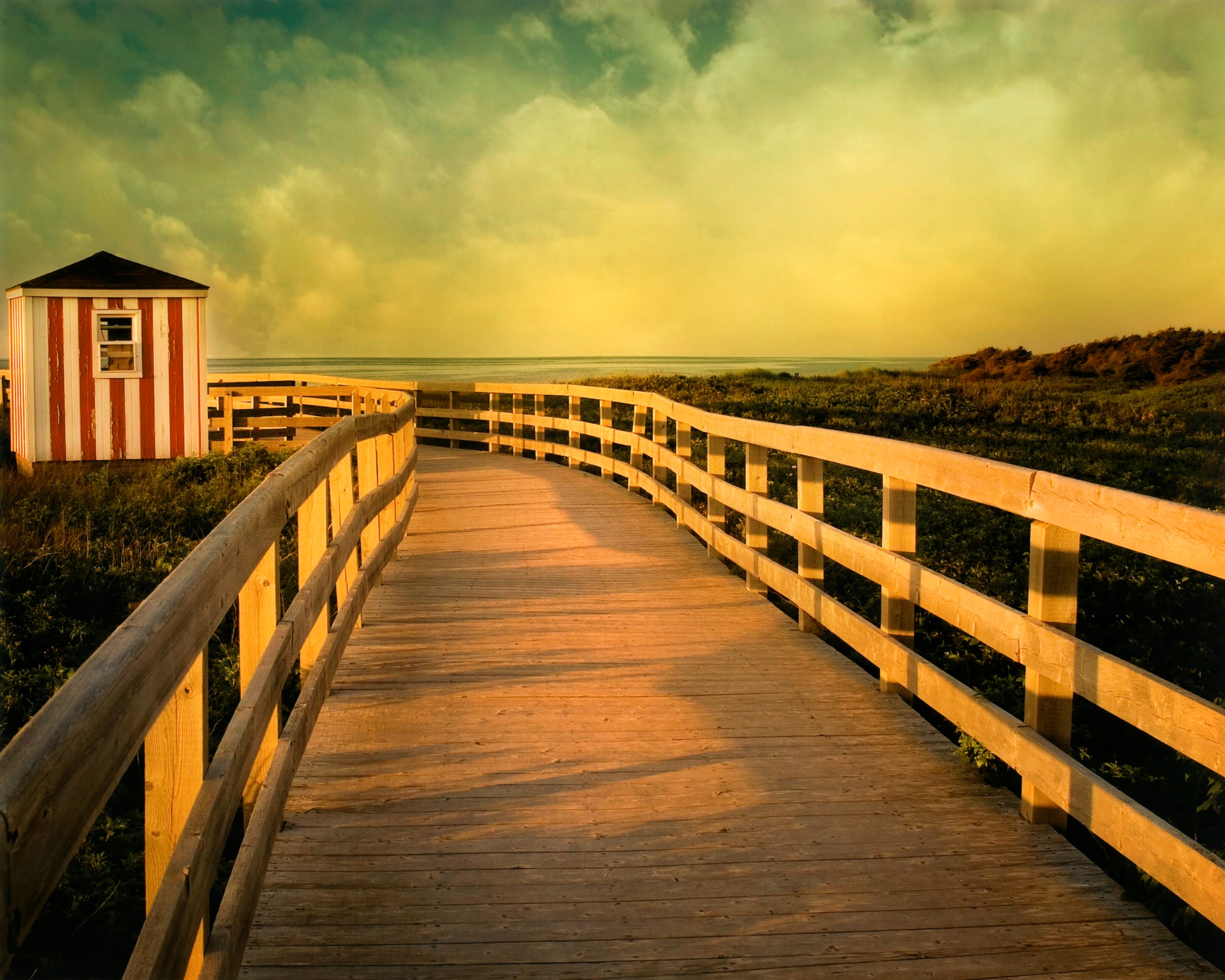 This Way Into Summer Wallpaper Mural - Murals Your Way