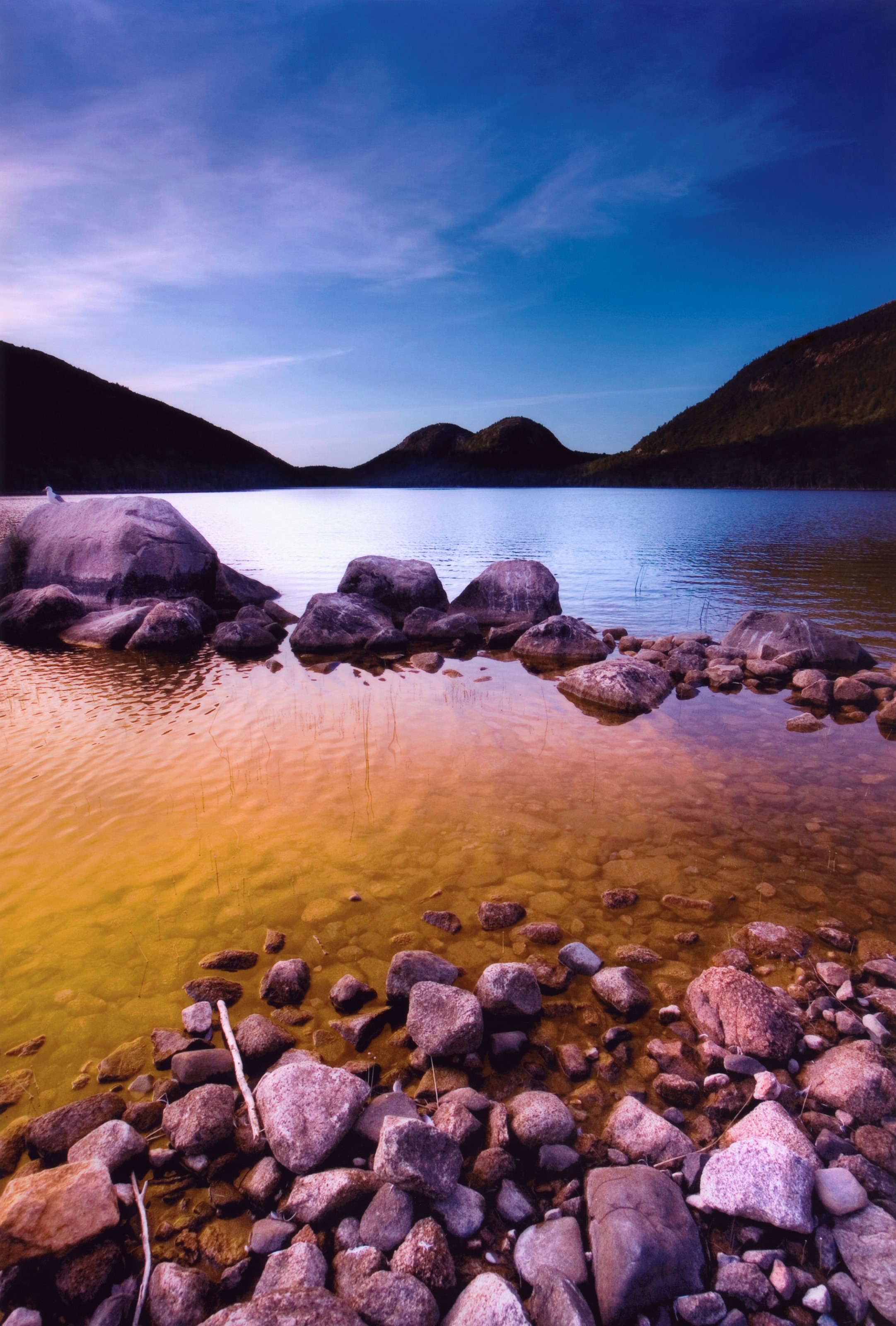 Repetition Wall Mural - Murals Your Way