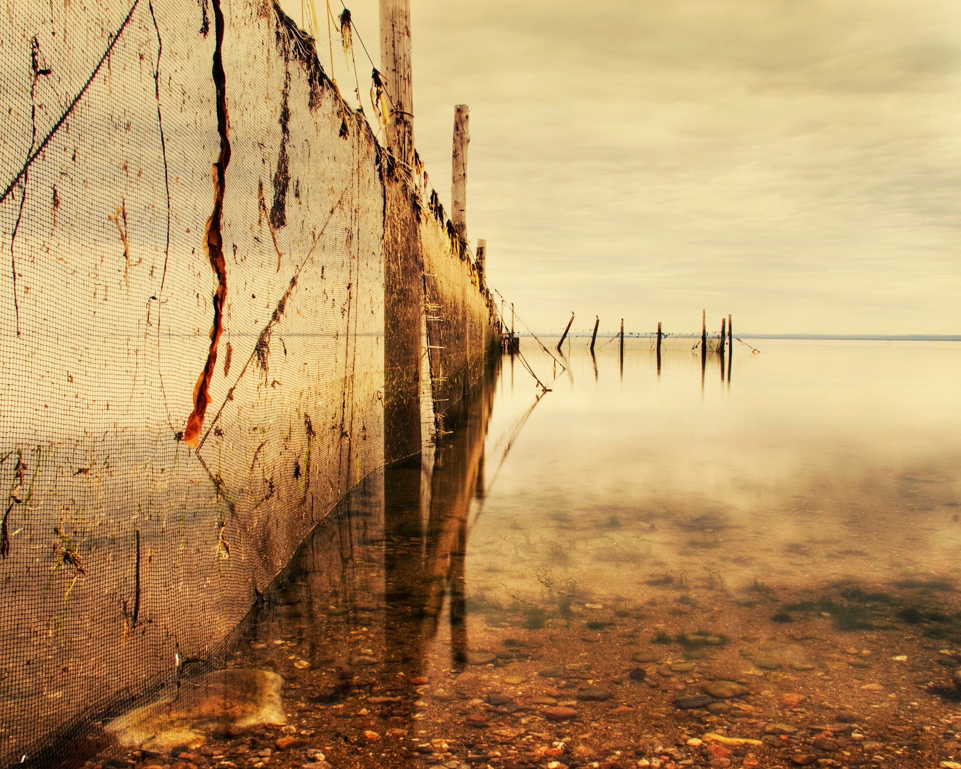 Catcher In The River Wall Mural - Murals Your Way