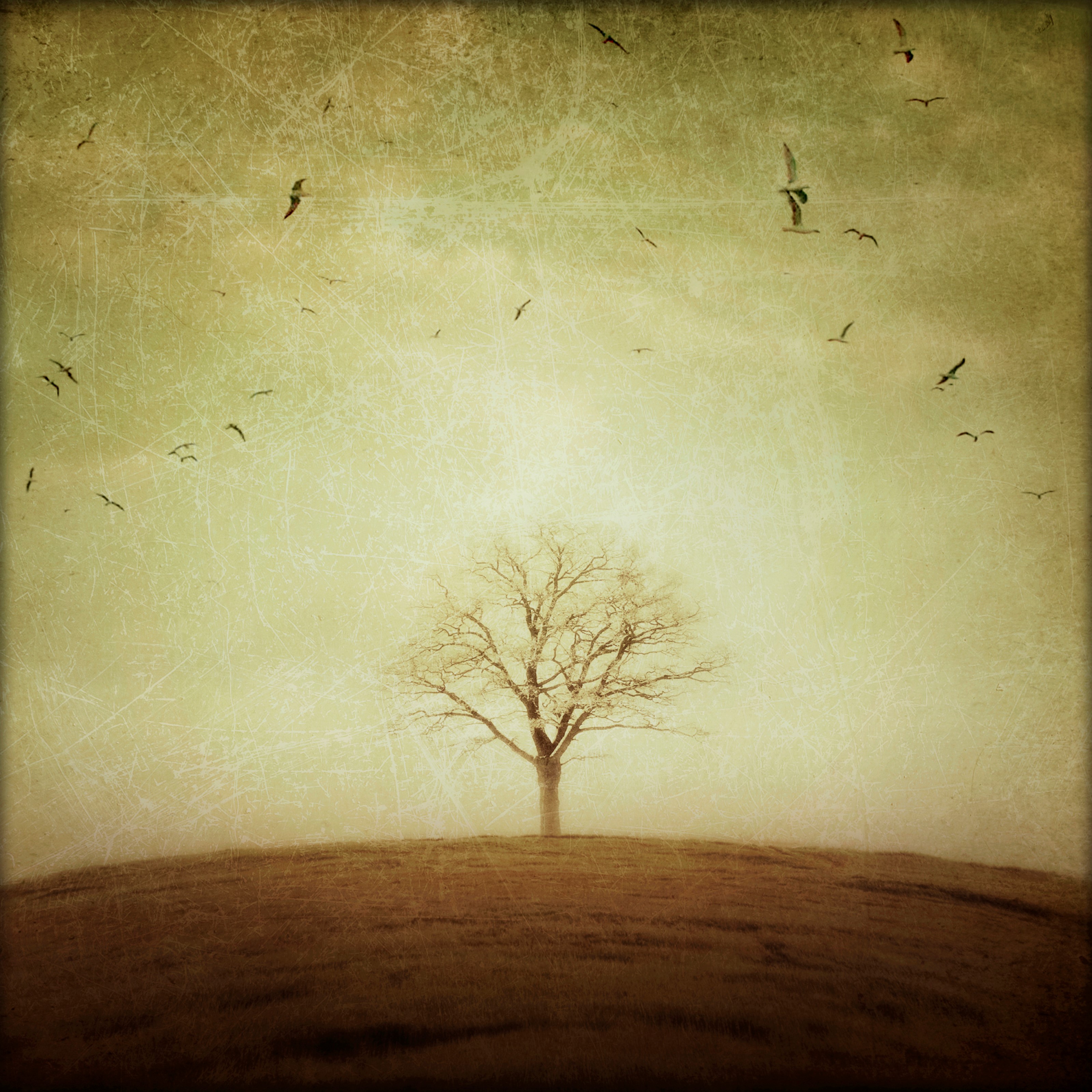 The Round Earth Mural Wallpaper - Murals Your Way