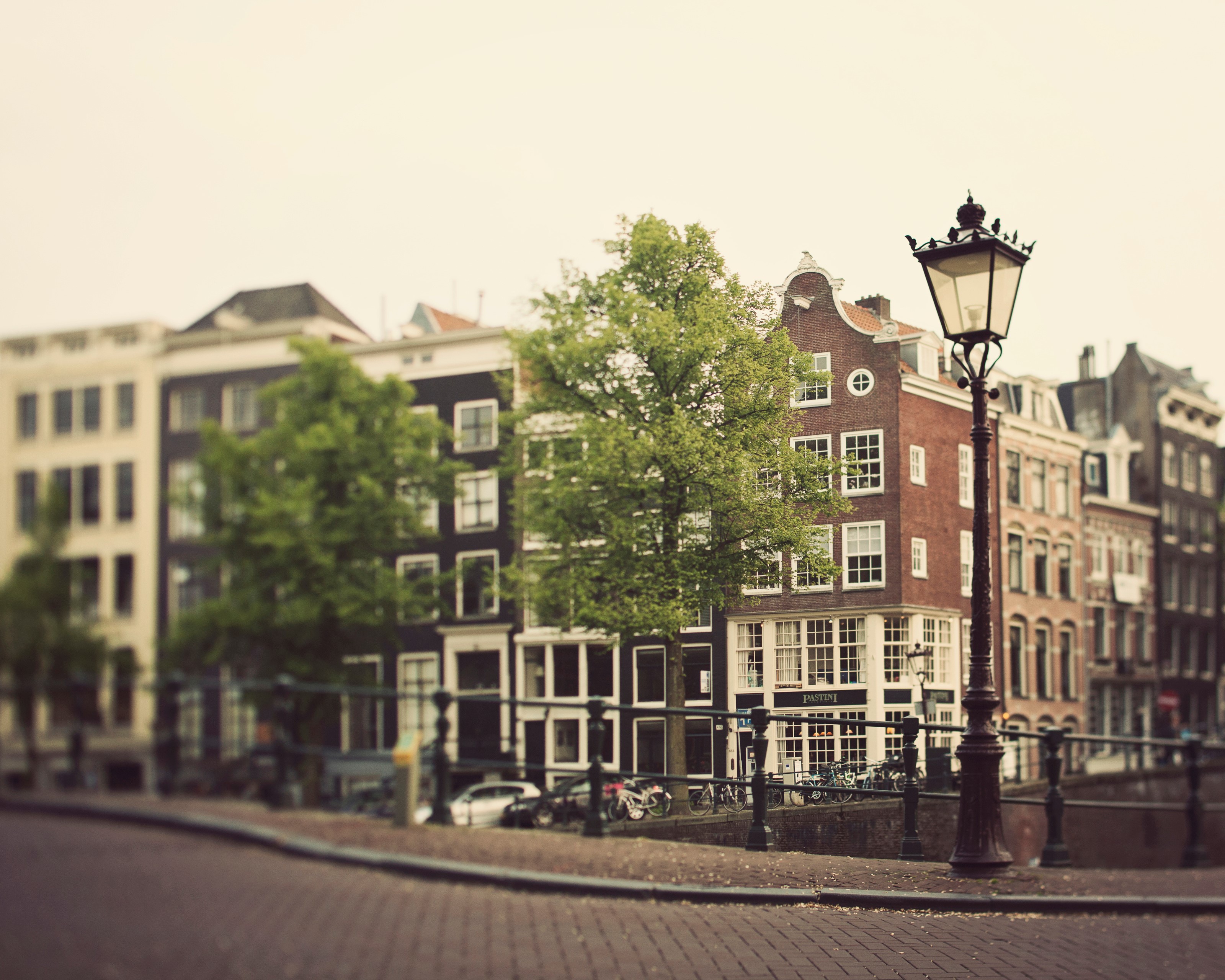 Amsterdam Vision III Mural - Irene Suchocki - Murals Your Way