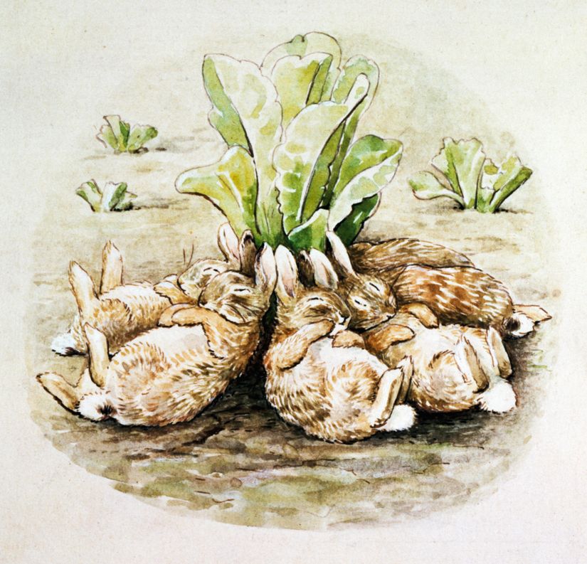 The Flopsy Bunnies Mural - Beatrix Potter - Murals Your Way