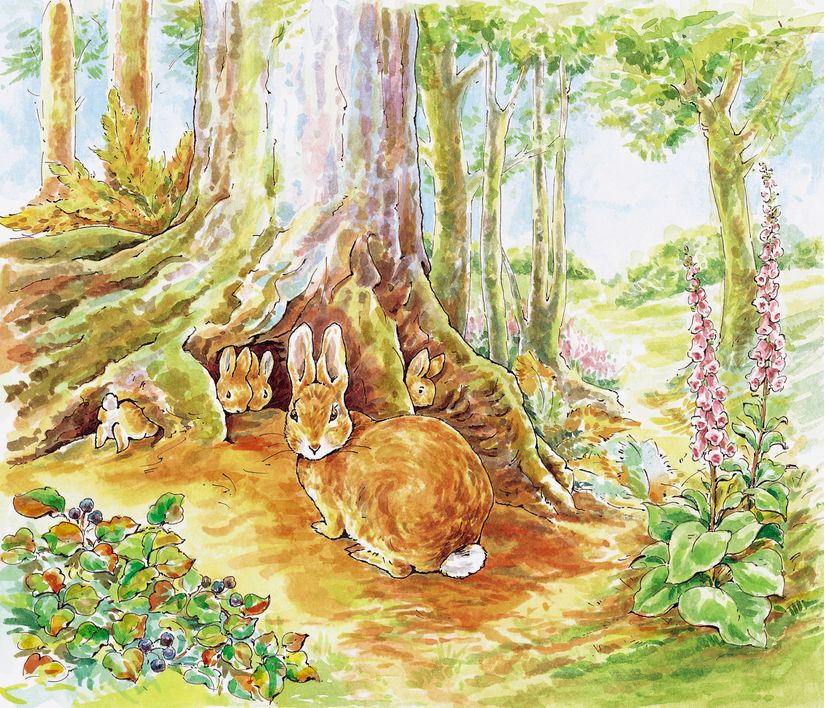 Beatrix Potter Wallpaper